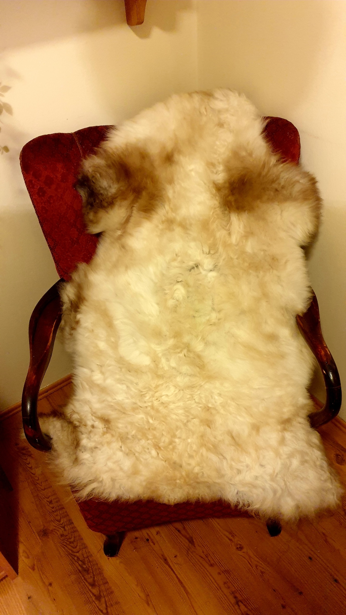 Skins with 30 mm wool – Iceland Craft